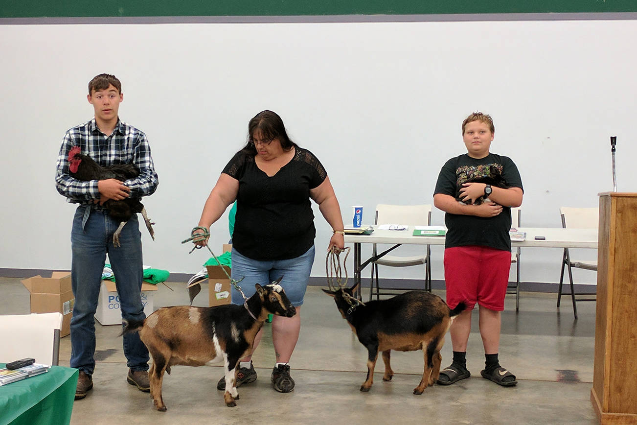 GH County fair returns Aug. 9-13 | The Vidette