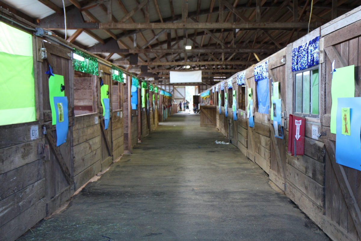A sneak peek at the Grays Harbor County Fair | The Vidette